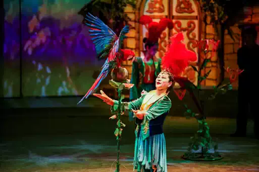 Shanghai Happy Circus Tickets-Shanghai Circus World Tickets