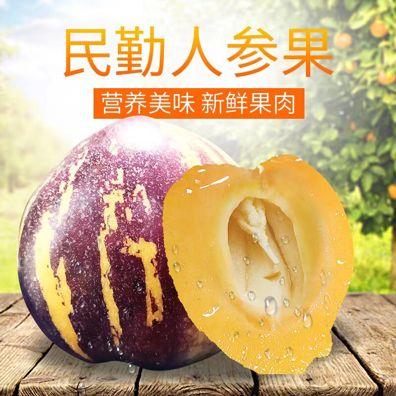 甘肃民勤人参果蜜瓜