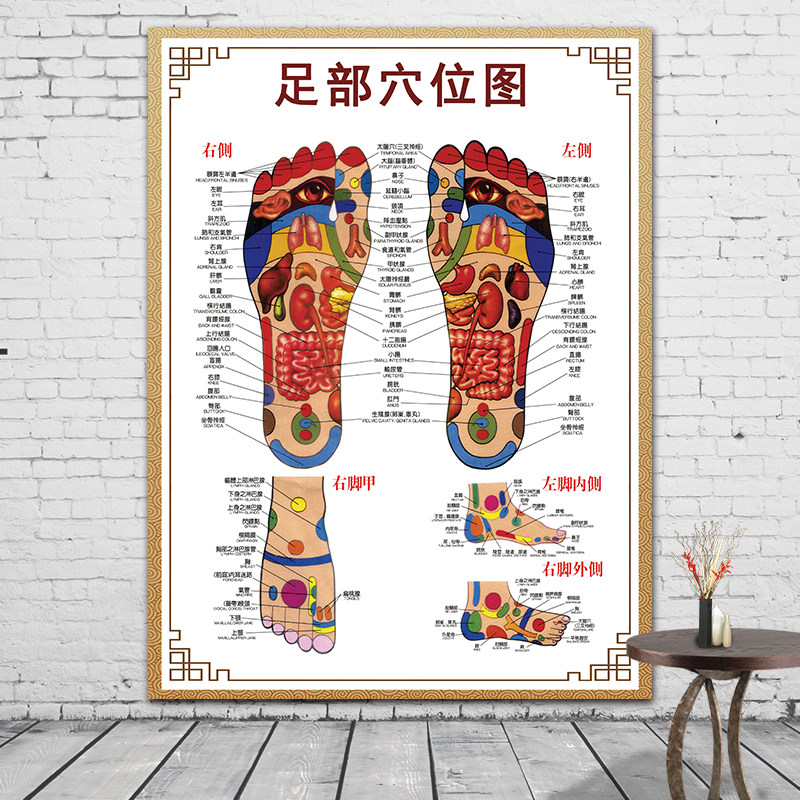 Foot Acupoints Map Reflex Zone Wall Chart Reflexology Reflexology ...