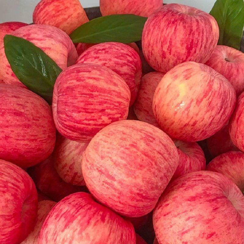 [USD 39.66] Shaanxi Yan'an apple fruit fresh Luochuan production red ...