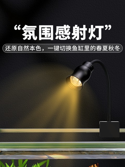 Original ecological stream fish tank new style living room small South ...