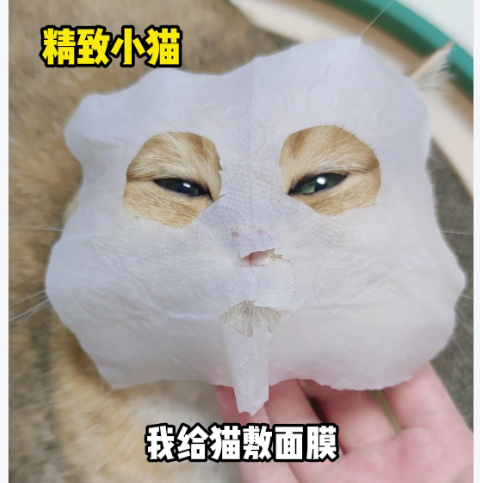 小绵羊医美护肤