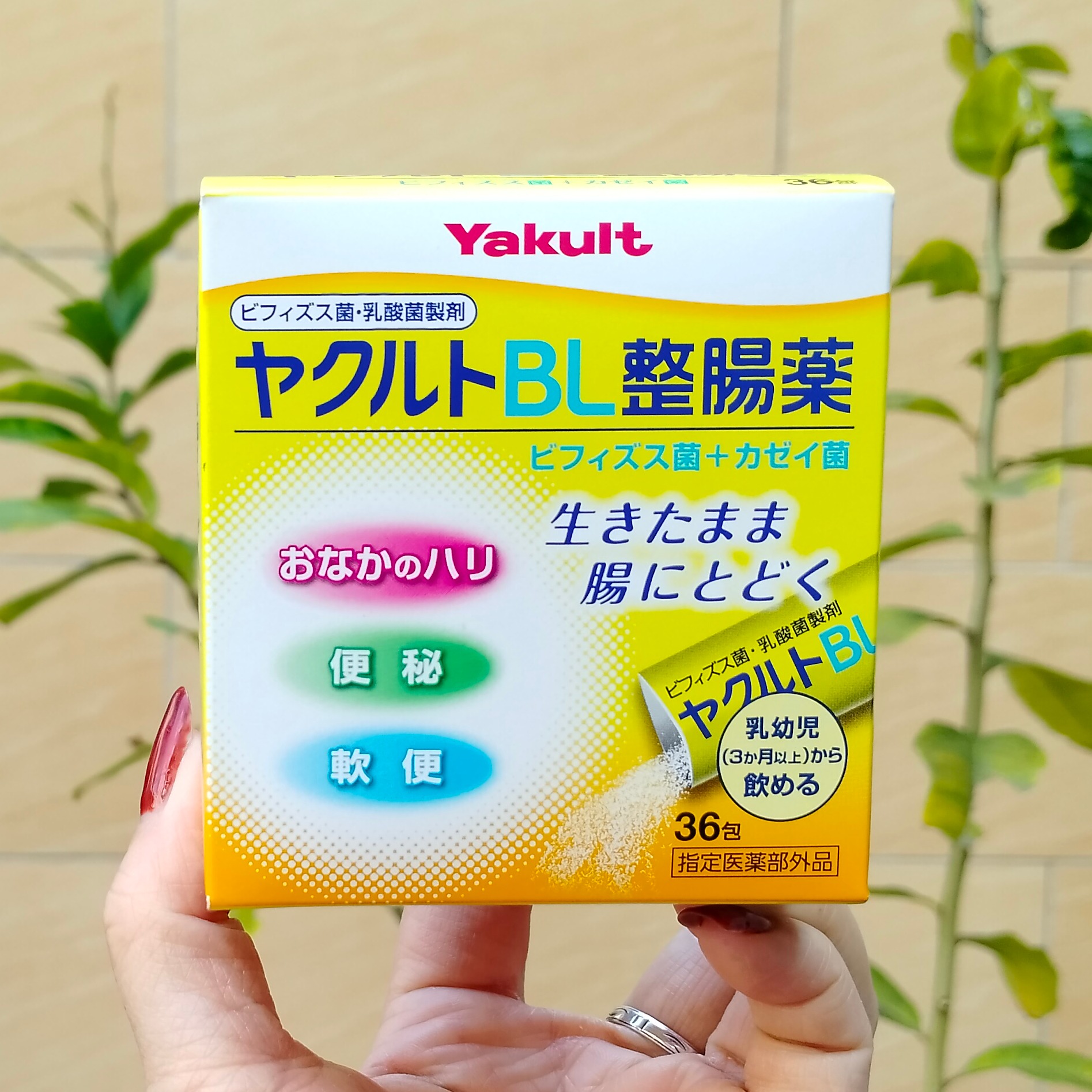 日本代購 新版！Yakult養樂多益力多BL整腸 36包益生菌乳酸