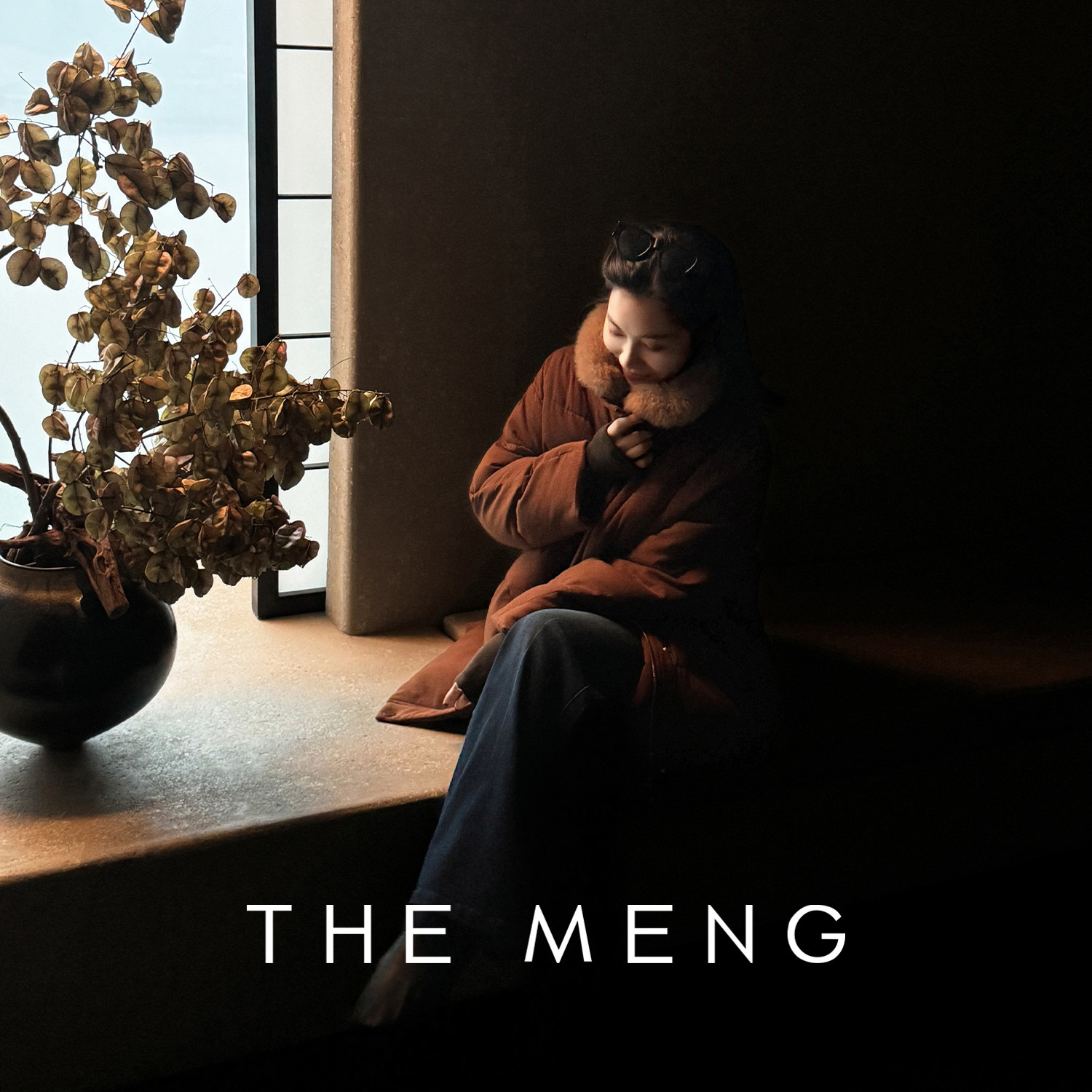 THE MENG【西雅图】天丝羊毛90白鹅绒皮毛一体老钱气质羽绒服女冬，穿出贵族范儿！-羽绒服-淘宝好物网