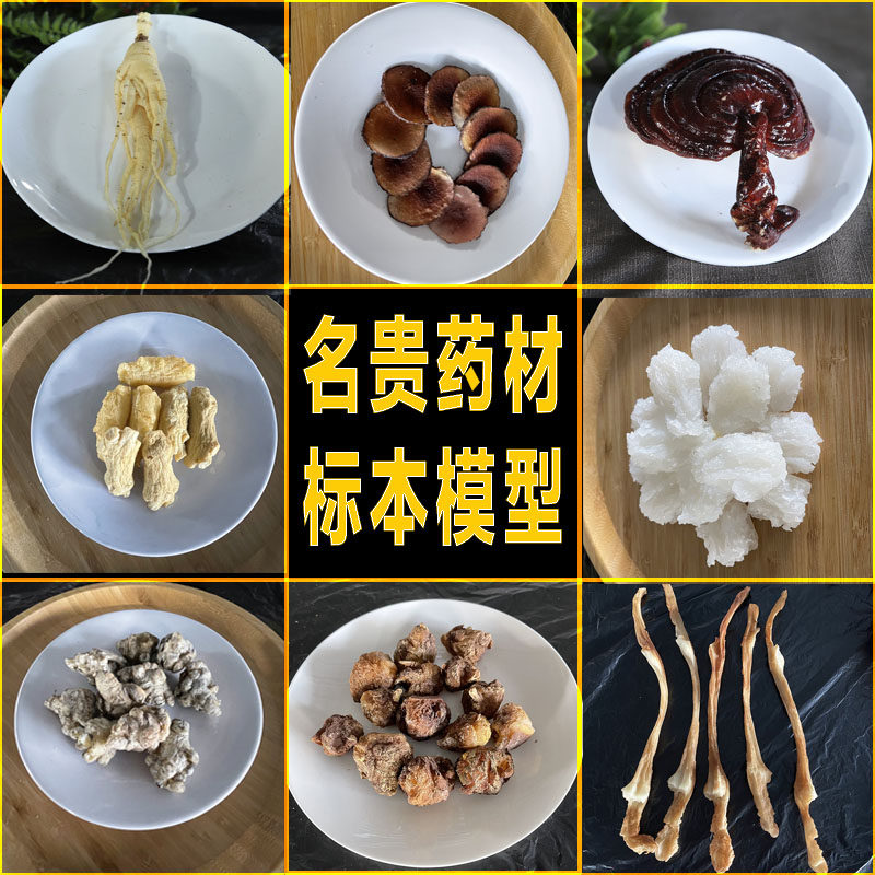 Artificial precious chinese medicinal material specimen model: fake ...