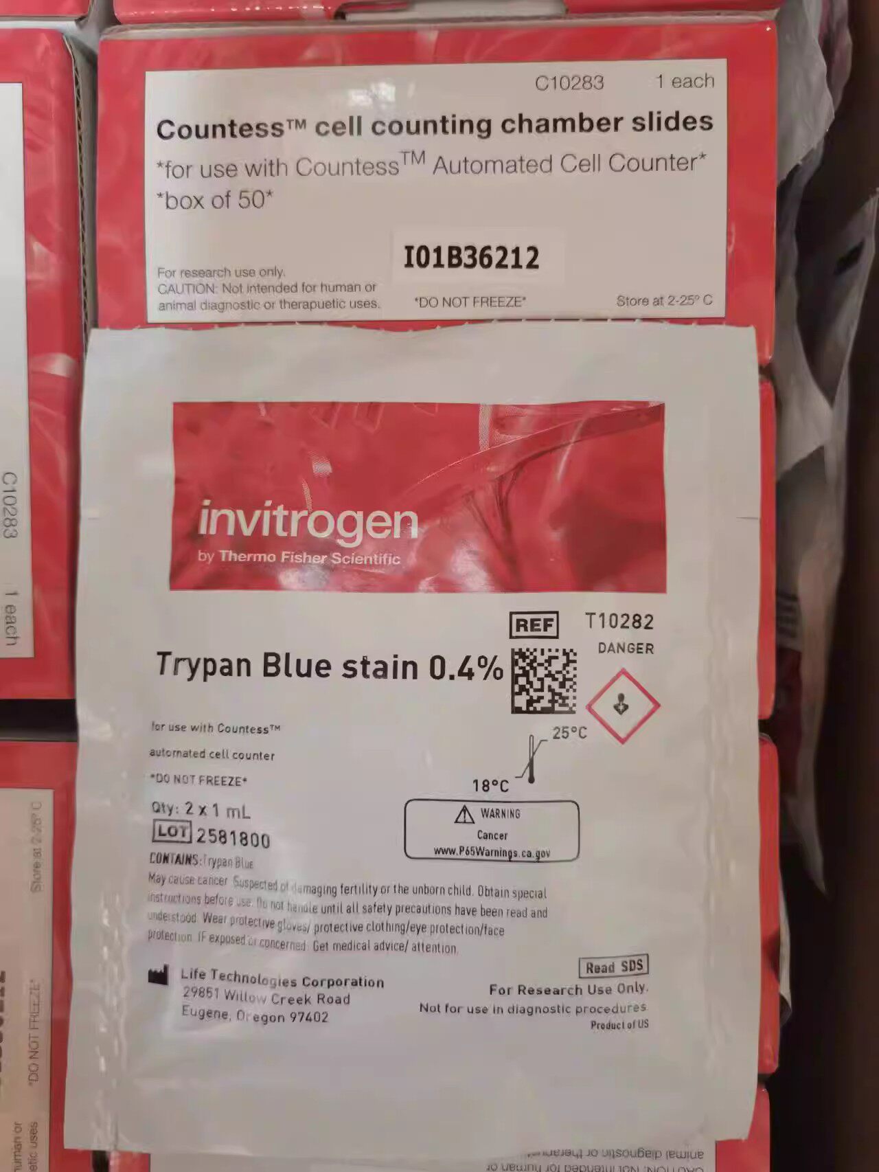 包邮特价赛默飞Countess™ Cell 细胞计数板C10228 C10283