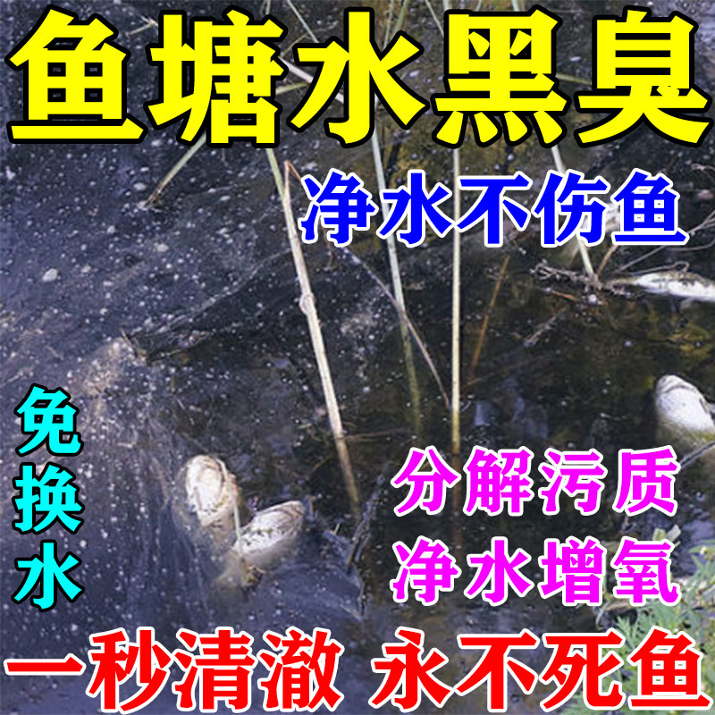 Black pond water? water clarifier to clear ponds, a lifesaver for fish ...