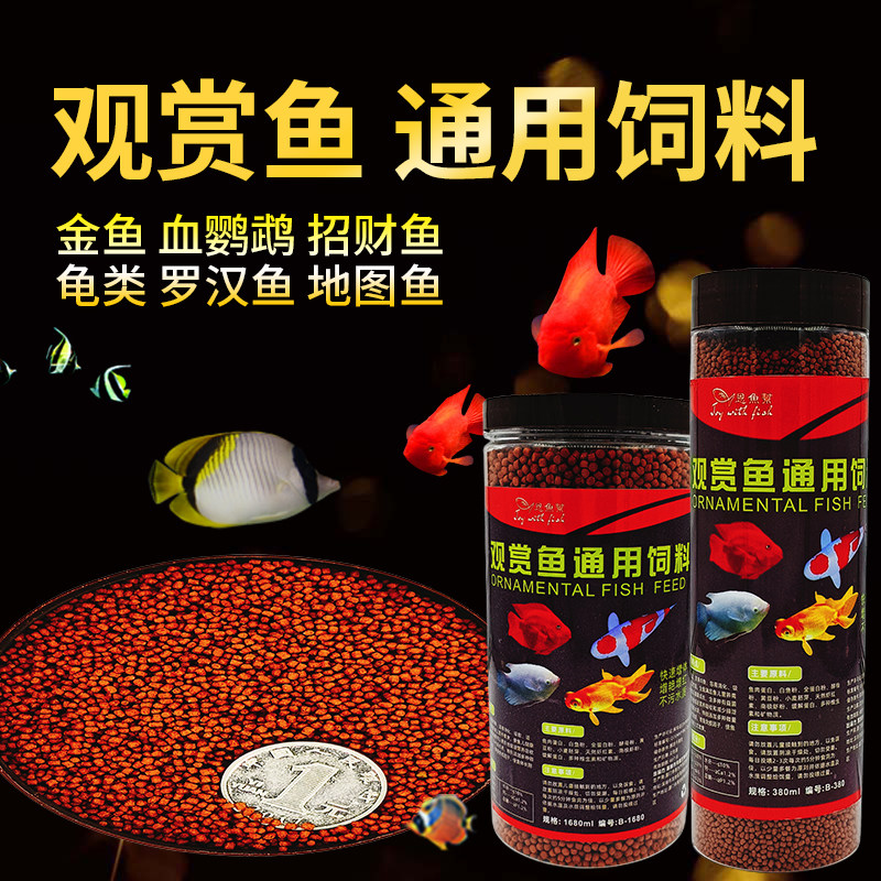🌟 Enyu dtb ornamental fish feed 🌟 Your new favorite fish. 🐟