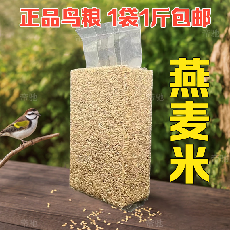 [USD 7.11] Oats Kernel Rice Bird Food Feed Bird Food - Wholesale from ...