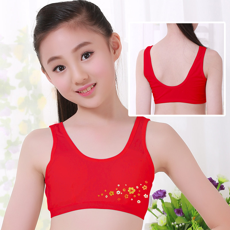 Girls bra development period junior high school students girls ...