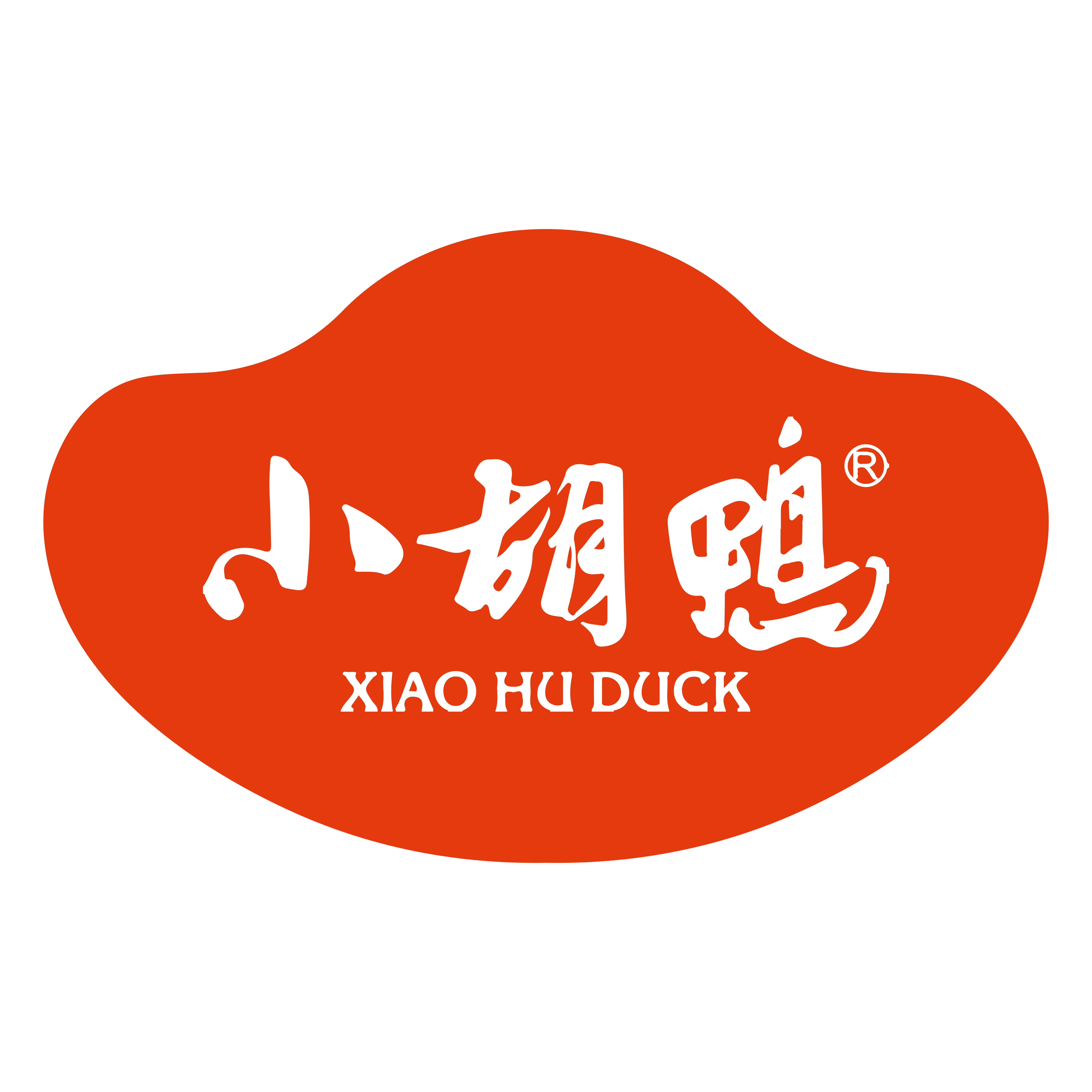 小胡鸭卤味零食官方企业店
