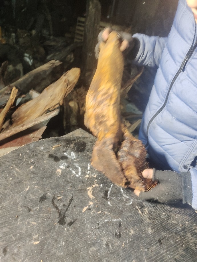 D037基因：揭秘生命密码中的神秘角色-金丝楠木-淘宝好物网