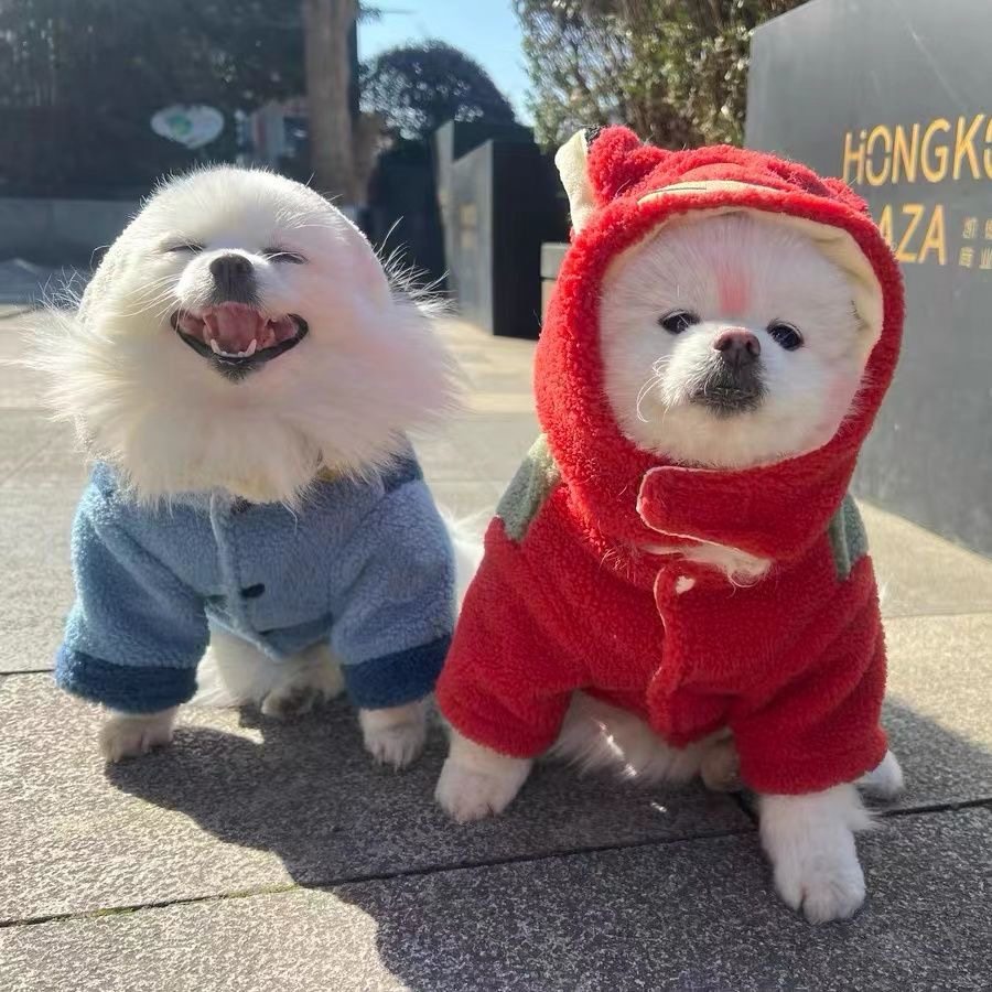 Pet winter warmth essentials! adorable hooded cotton-padded winter ...