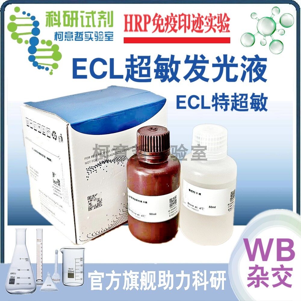 ECL超敏发光液 特超敏ECL化学发光底物WB特超敏ECL发光液 HRP标记