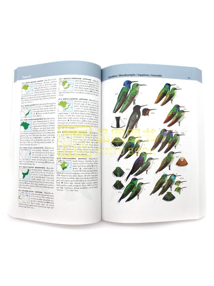 A Field Guide to the Birds of Brazil：探索多样鸟类生活的秘籍？-生活类原版书-淘宝好物网