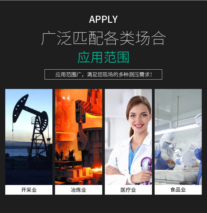 红旗不锈钢隔膜压力表YTP-100BF 螺纹法兰卡盘连接 规格齐全-阿里巴巴