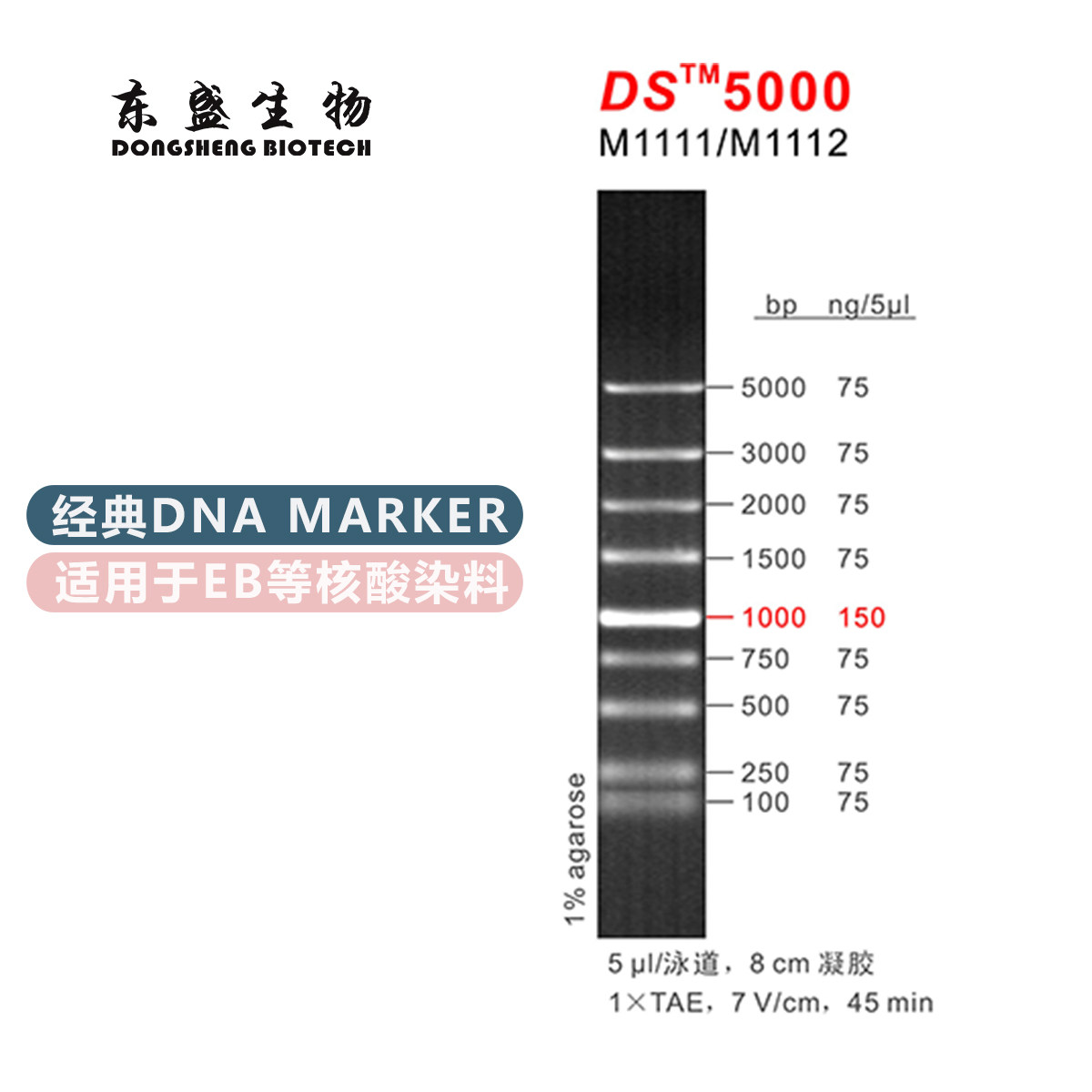 东盛生物 DM5000 经典款 DNA Marker DS5000 （M1111_M1112