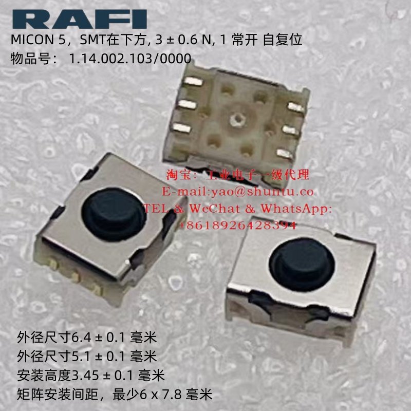 1.14.002.103/0000德国RAFI MICON 5 SMT在下方1常开自复位