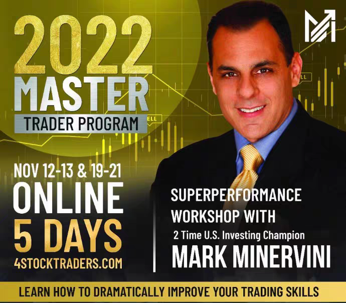 股票魔法师MTP教程：Mark Minervini的2020-2022中英文字幕精翻-刻录盘个性化服务-淘宝好物网