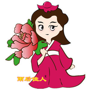 菏泽朵朵牡丹雨后佳人店