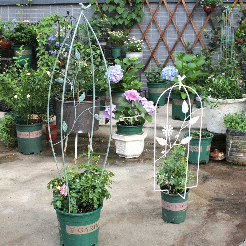 What is the charm of the european-style leaf vine bird climbing pergola ...