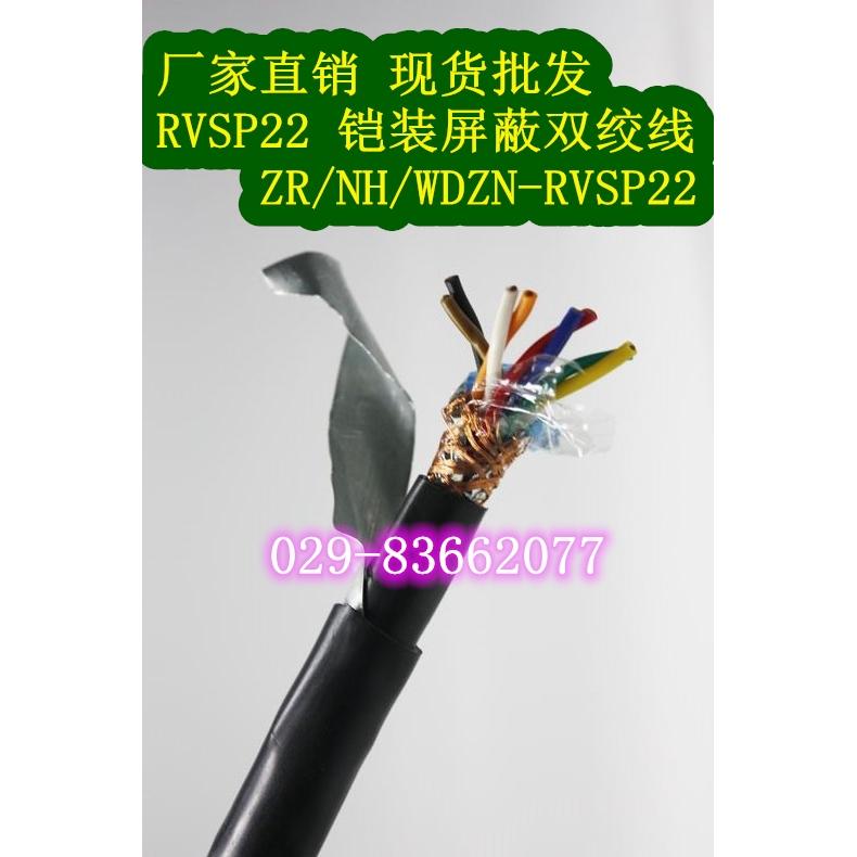 ZR-RVSP22双绞屏蔽电缆 西安制造阻燃耐火485线 铜芯屏蔽铠装线材 工业用电线