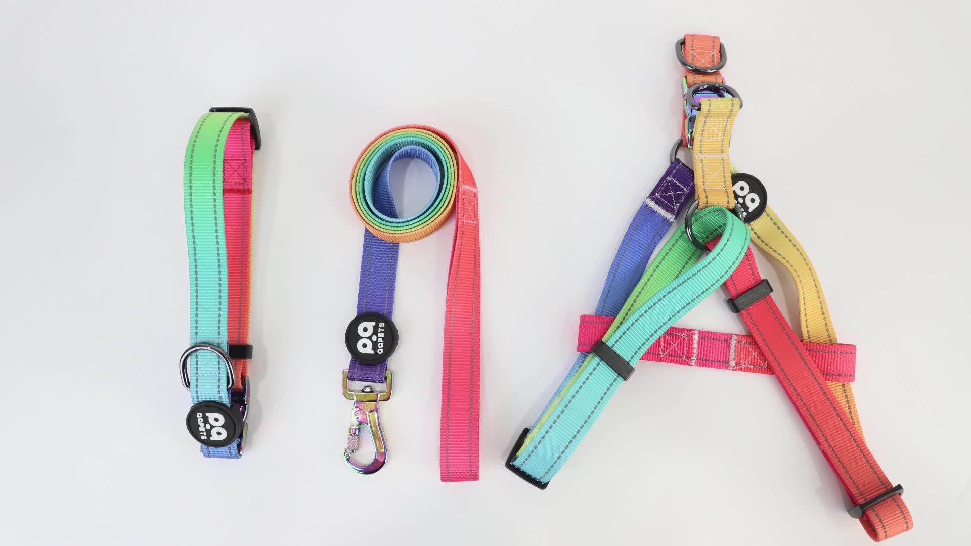 Fashion Pet Accessories Dog Leash Hardware Colorful Gradient Metal ...