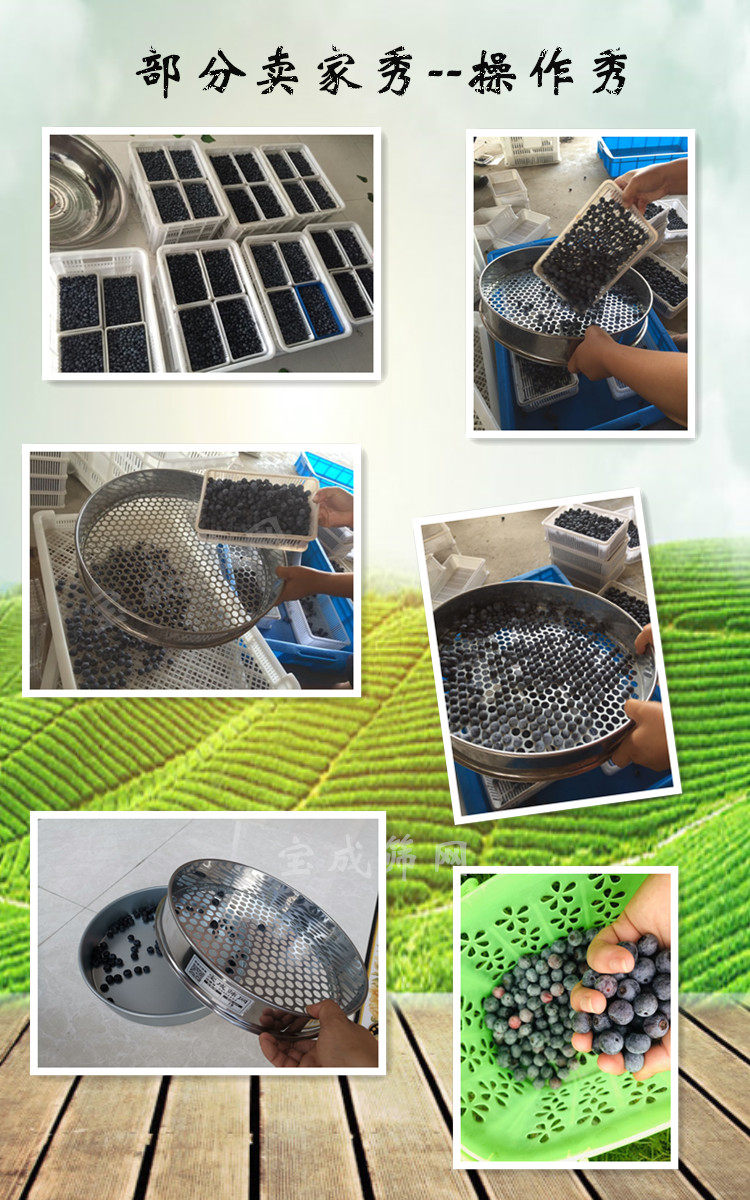 Blueberry sieve diameter 30cm round hole sieve blueberry large, medium ...
