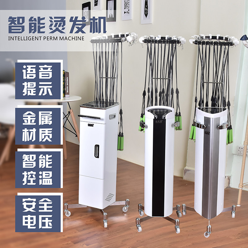 双屏智能陶瓷烫发机24V：烫发神器，让你在家也能成为美发大师！🌟-其它美发工具-淘宝好物网