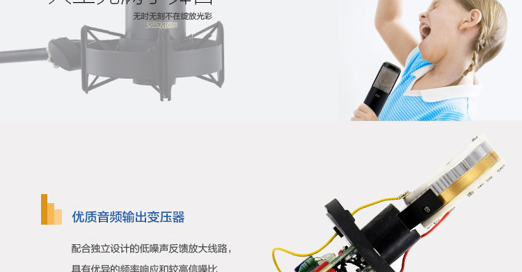 北京797Audio M5专业录音大振膜人声电容麦克风配音K歌直播话筒-阿里巴巴