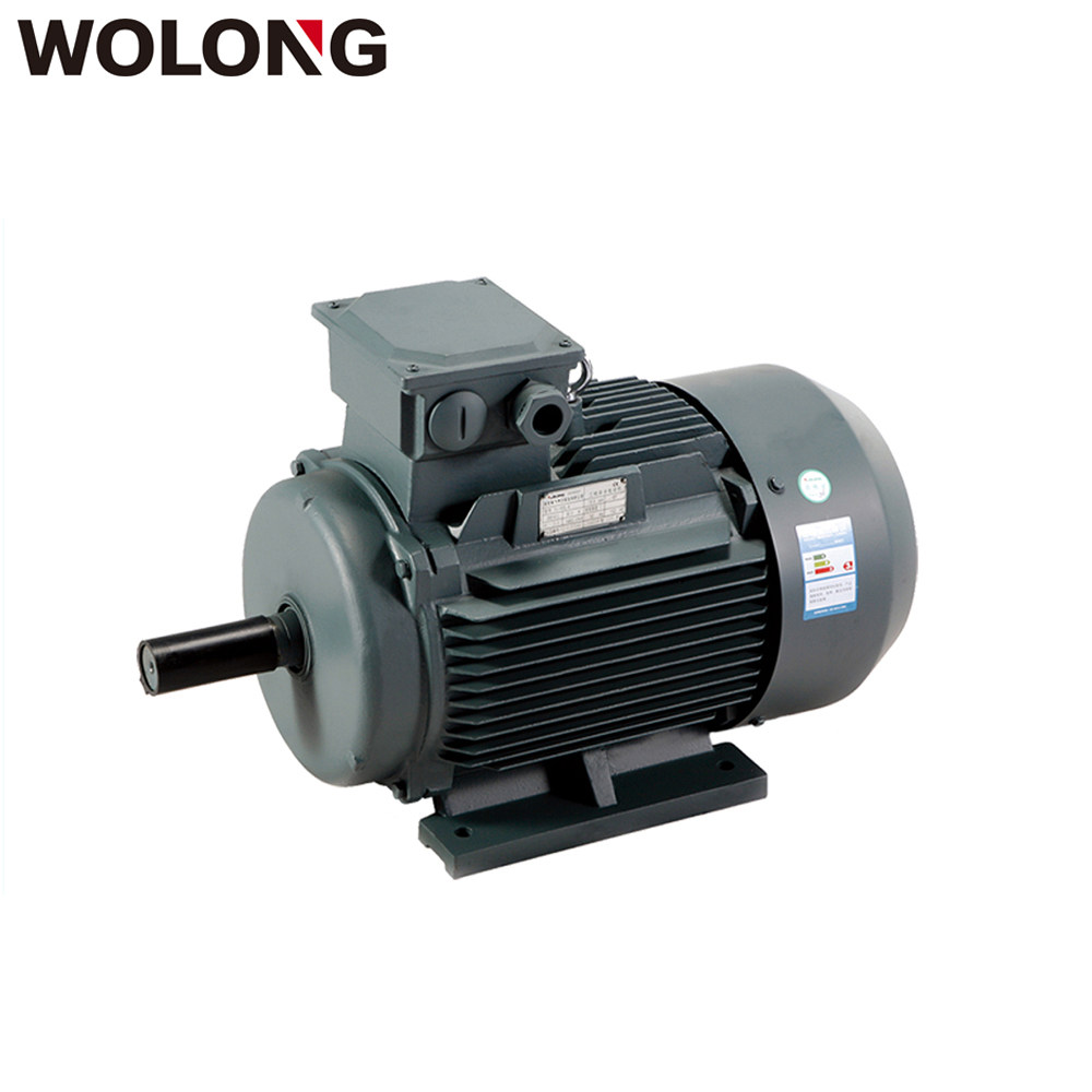 Wolong Electric YE3 series cast iron shell ultra-efficient three-phase ...