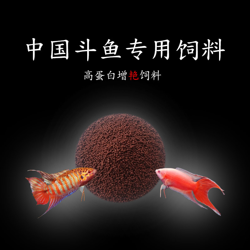 小叮当斗鱼直播间在哪？如何找到并关注他？-斗鱼直播-淘宝百科网