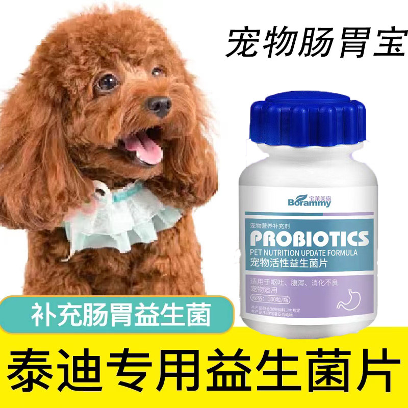 2025 teddy’s recommended probiotic tablets｜gastrointestinal bao’s ...