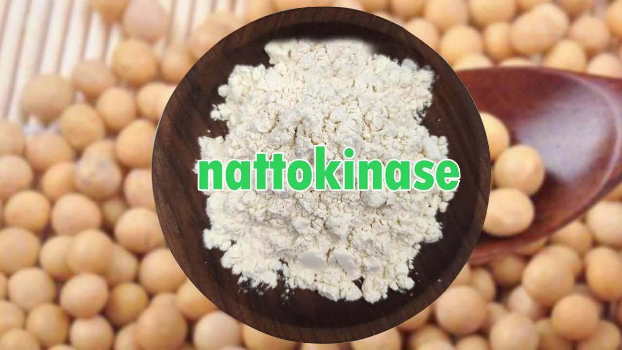 Fruiterco Natto Kinase Natto Extract Nattokinase Enzymes Powder ...