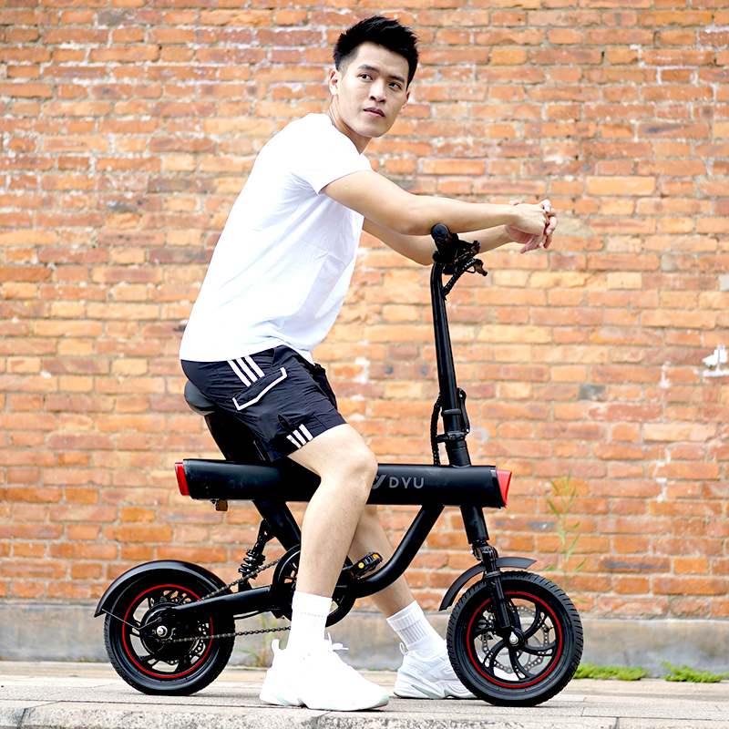 Big fish electric bicycle dyu new national standard lithium battery ...