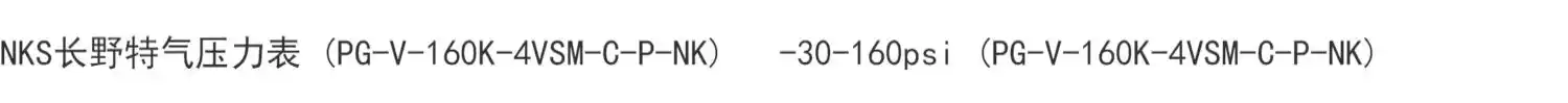 NKS长野特气压力表 PG-V-160K 工业压力测量仪表
