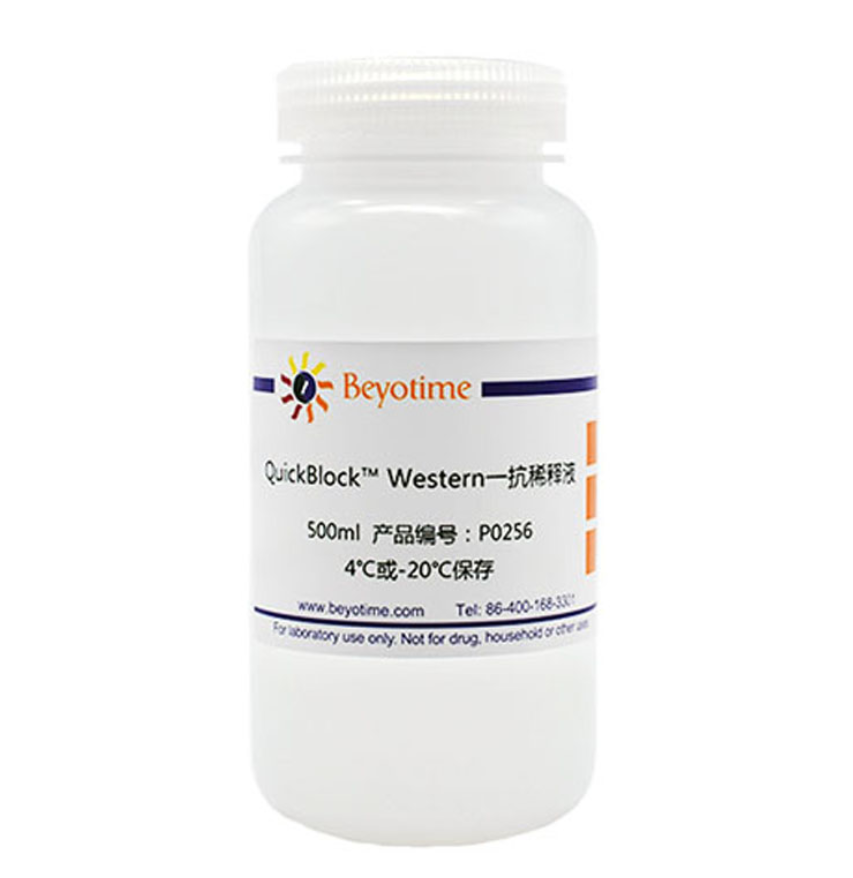 碧云天 P0256-100ml QuickBlock Western一抗稀释液 500ml