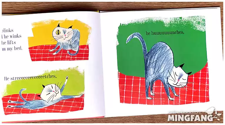 《Atticus Caticus》绘本大师 Sarah Maizes - 宠物小猫咪