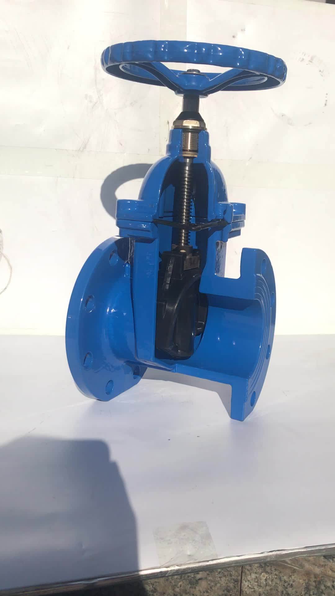 Din F4 Dn100 Ductile Iron Resilient Saet Cut Body Gate Valve Sample ...