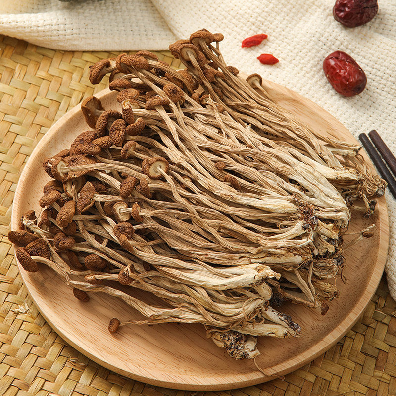Get to know the captivating world of gutian tea tree mushrooms! we're ...