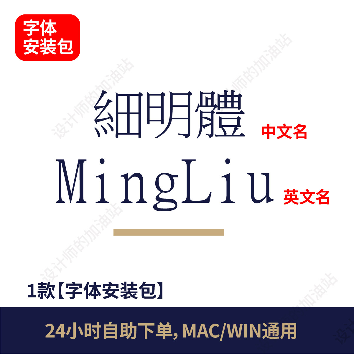 細明體 Mingliu HkSCS /PMingliu 臺灣細明體 新細明體 字體包 84