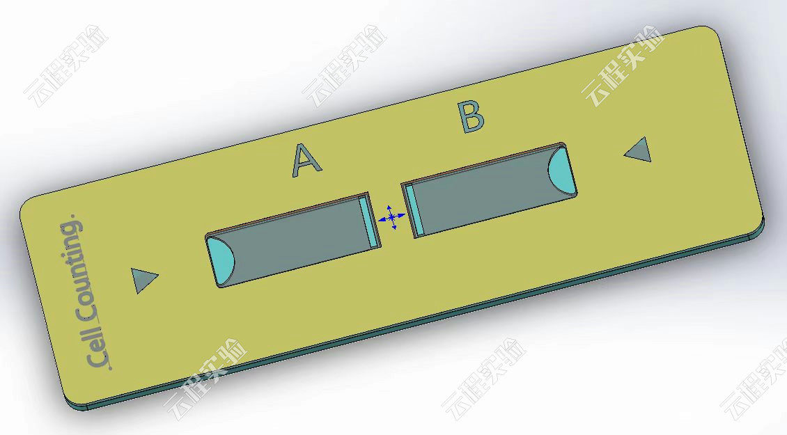 2孔5孔细胞计数板Biofount 适用赛默飞 伯乐 一次性细胞计数板-阿里巴巴