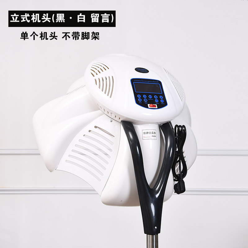 [USD 151.25] Hair heater barber burner heating machine perm, cold-boted ...