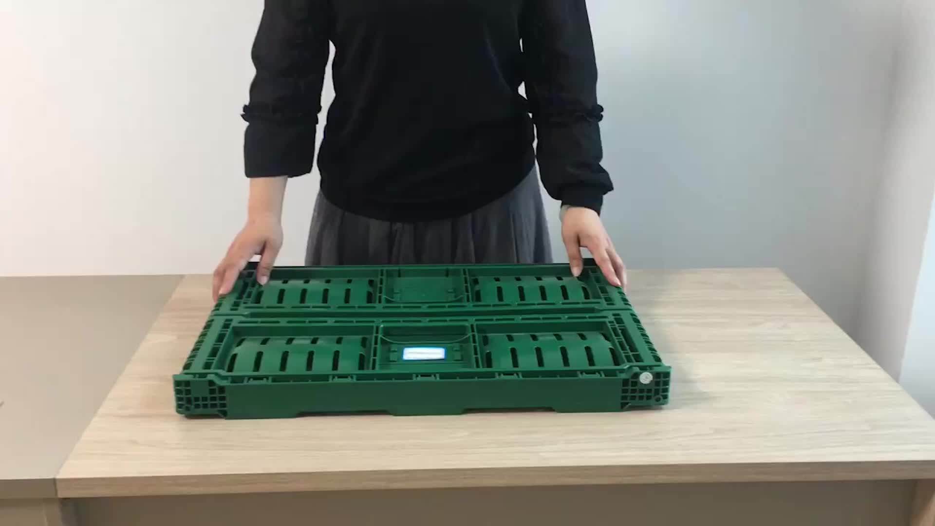 Collapsible Hard Plastic Storage Fruit Foldable Vegetable Egg Transport ...