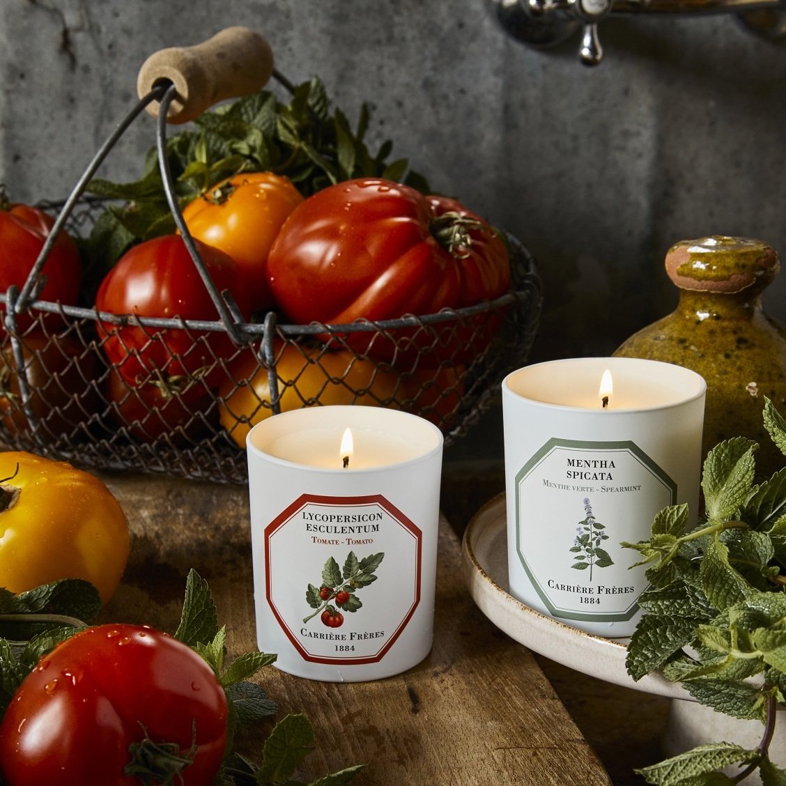 TR ) Official Agent Carriere Freres French botanist aromatic candle ...