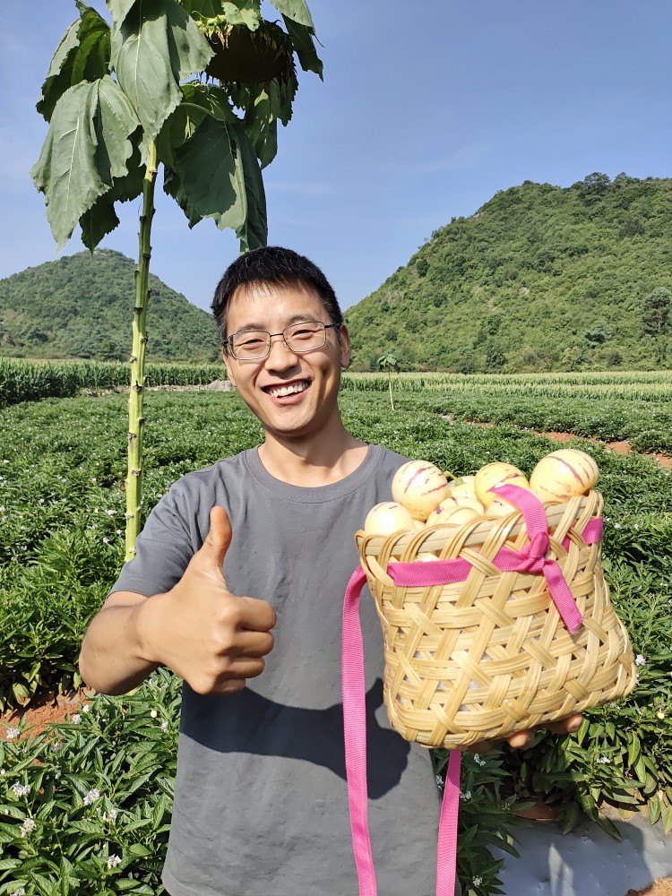 醇香知味优选果园