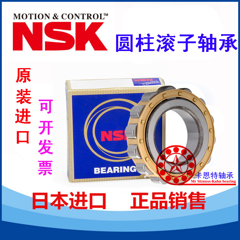 進口NSK減速機圓柱軸承RN204 205 206 219 307 222 309 312 313 M