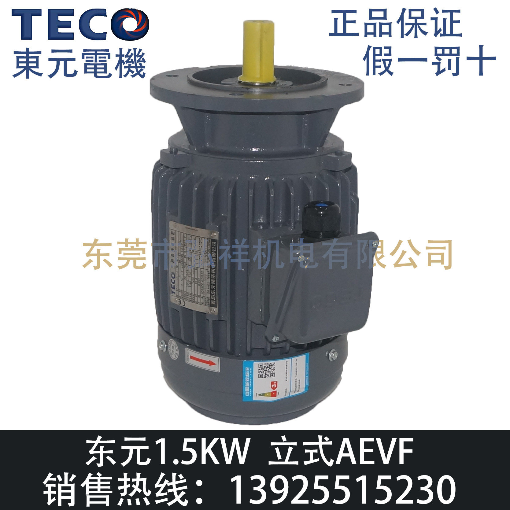 TECO TECO Motor 1 5KW 2HP vertical AEFF2N F3 TVGH90L brake brake motor ...
