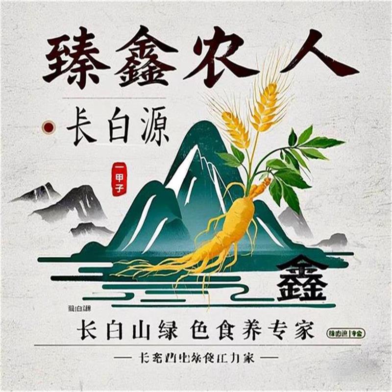 臻鑫农人一号店