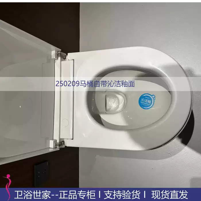 杜拉维特智能挂墙马桶新款无缝挂壁式座便器250209+614700智能盖